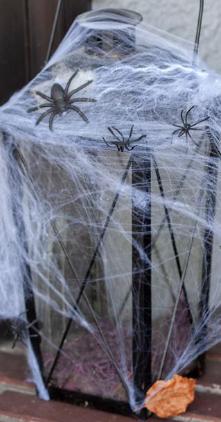 Spider Web - Expandable| Mountain Man Vail